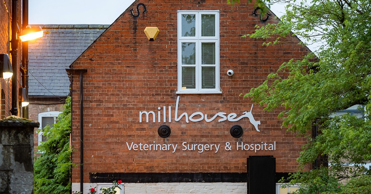 Mill House Veterinary Surgery & Hospital Case Study | CTS Security